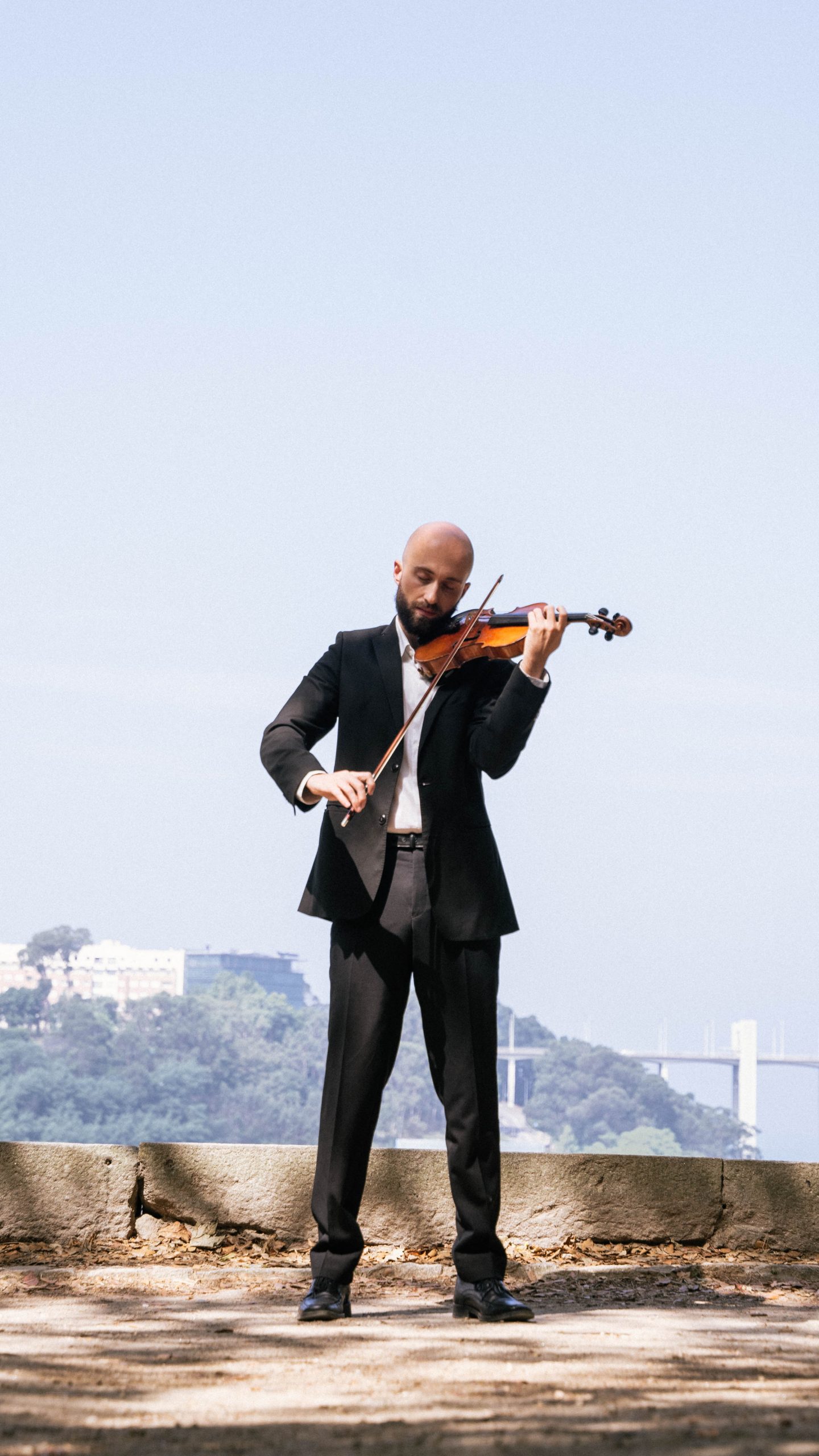 Vows & Violin